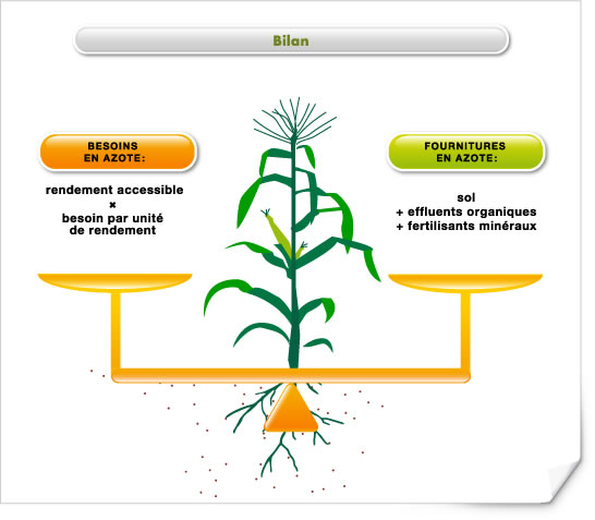 azotée - définition - C'est quoi